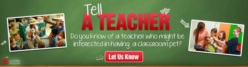 Education Grants - Pets in the Classroom